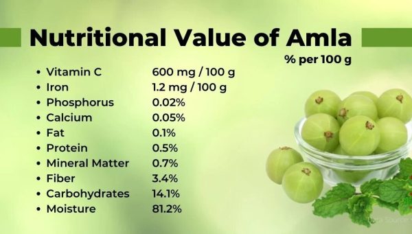 7 Amazing Health Benefits Of Amla