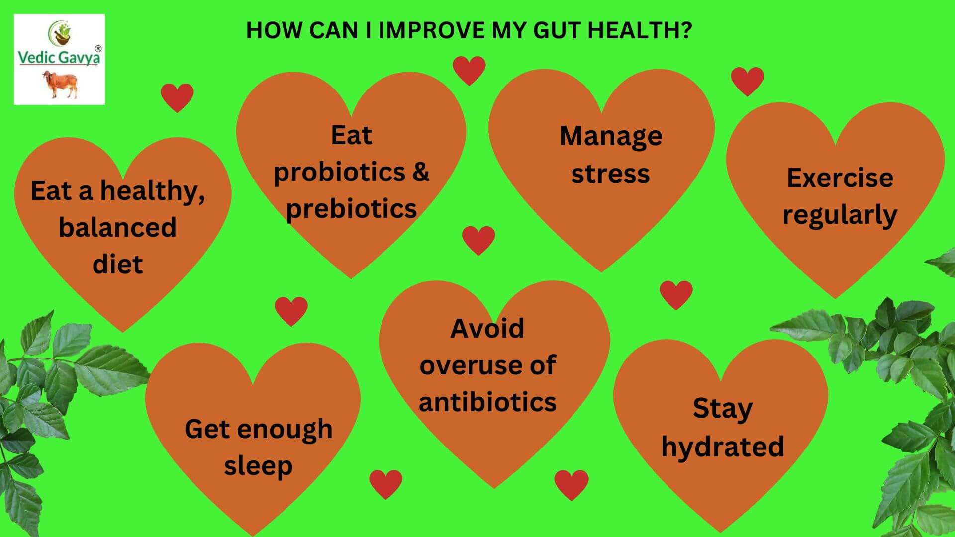 Gut Health - 7 Amazing Tips To Improve Gut Health.